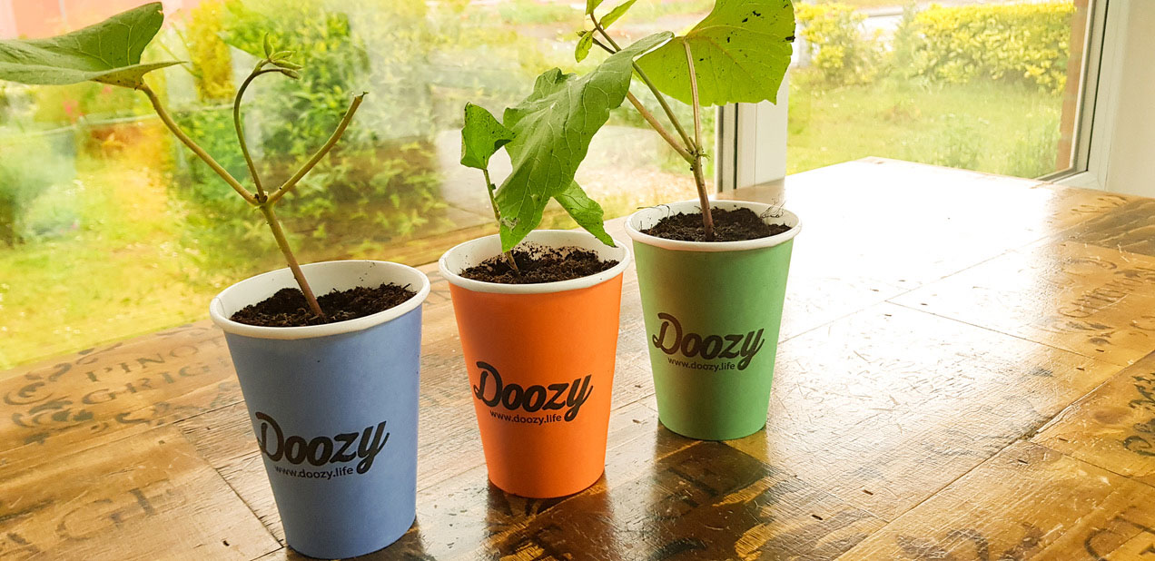 Plastic-Free Vending - Is it Possible? | Doozy